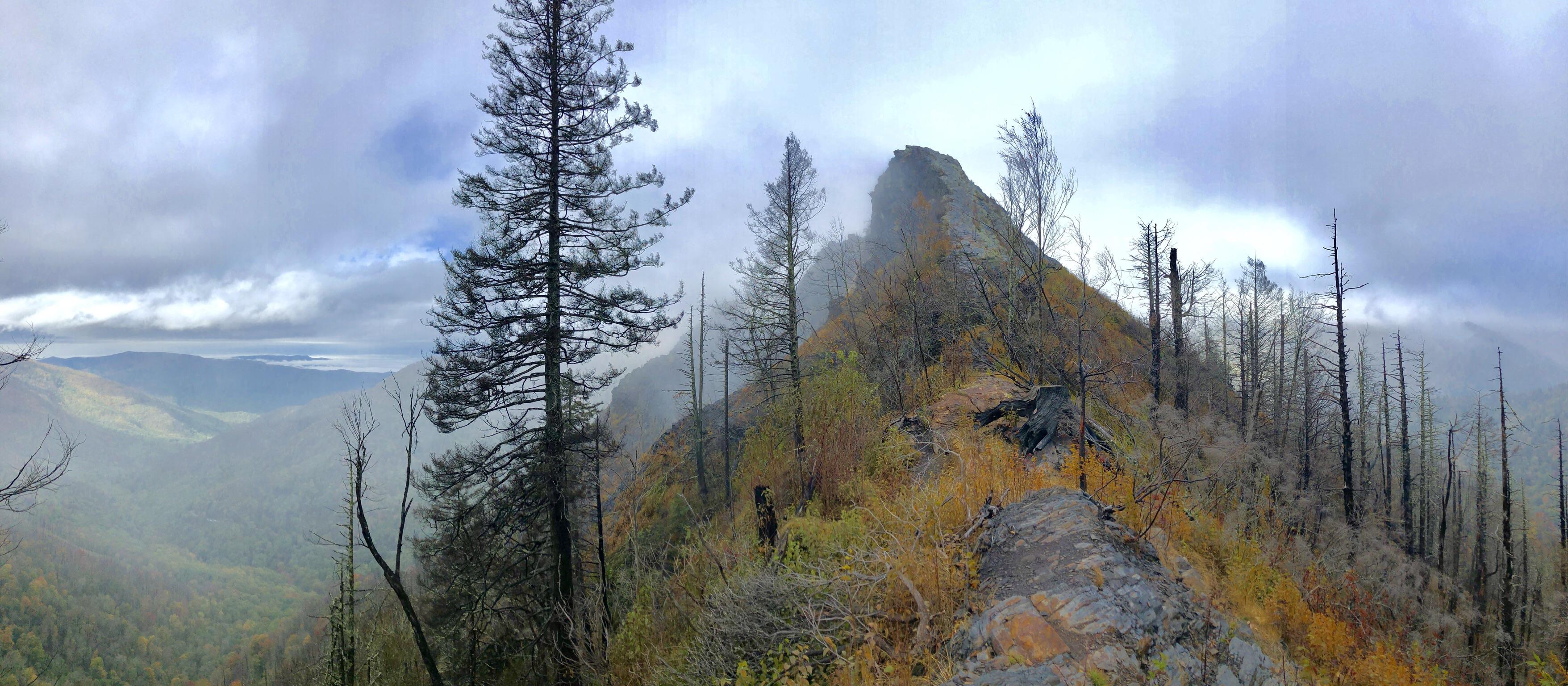 Chimney Tops Trail Guide 2026 | 360-Degree Mountain Views in the Smokies